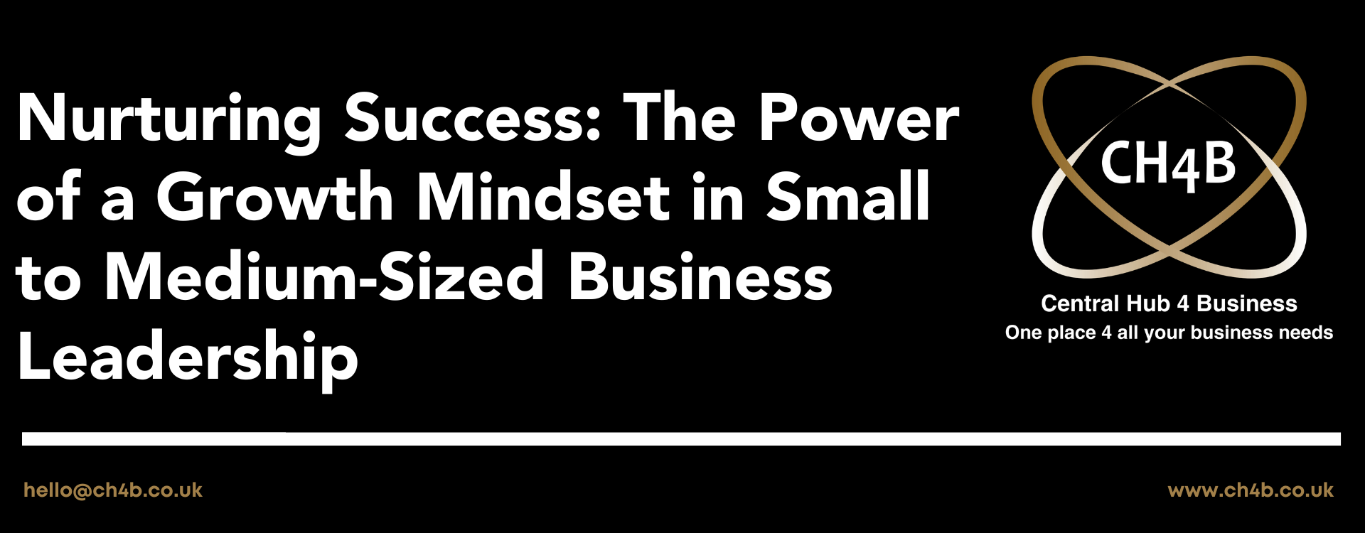 Unlock Success For SMEs: Harnessing a Growth Mindset